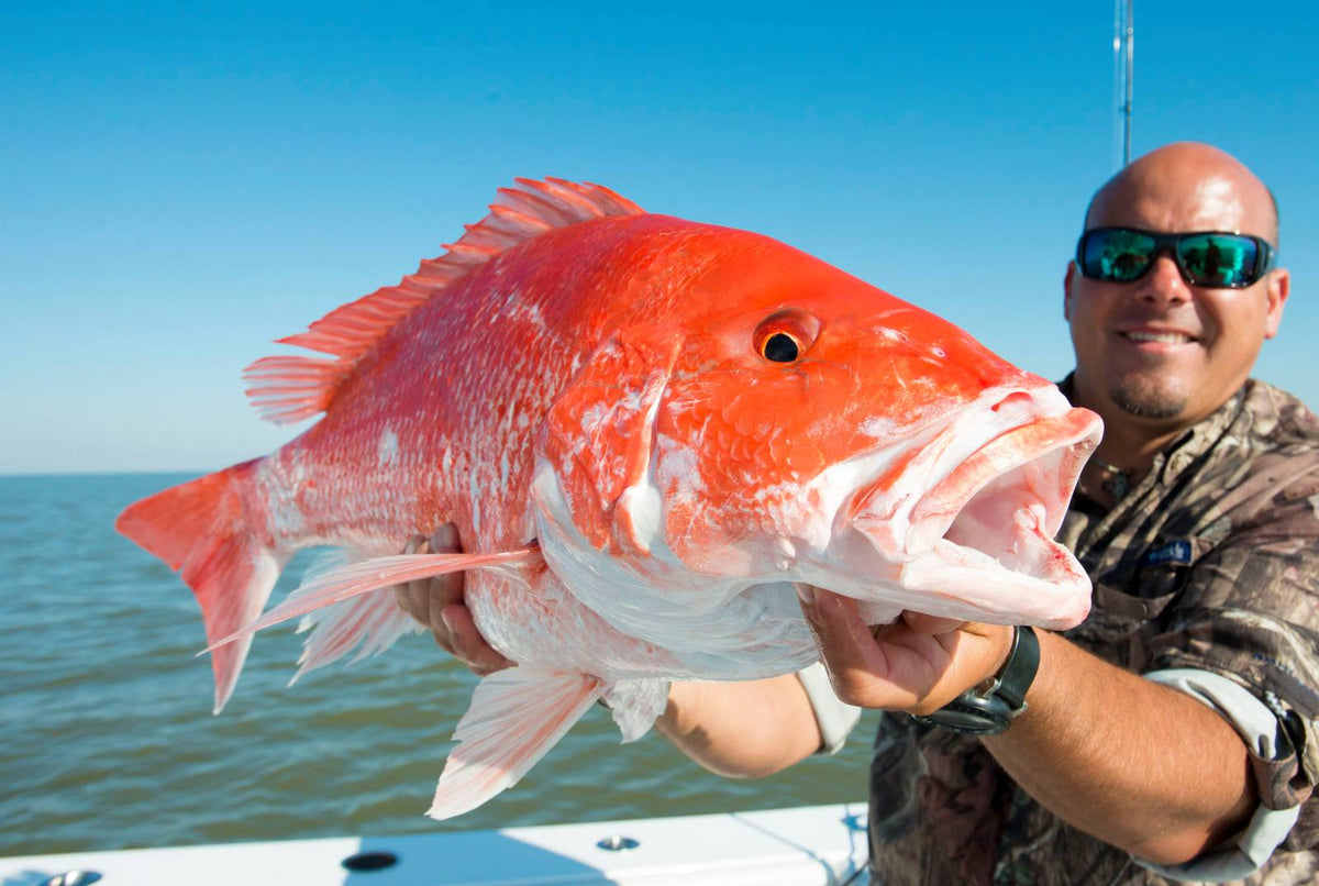 Alabama's Red Snapper Season Opening May 24th: What You Need to Know ...